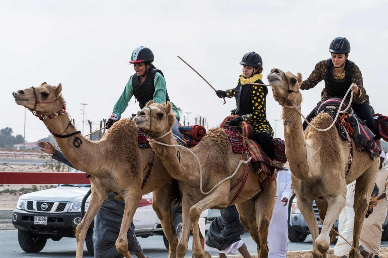 Hamdan bin Mohammed witnesses Camel Trek Marathon in Dubai