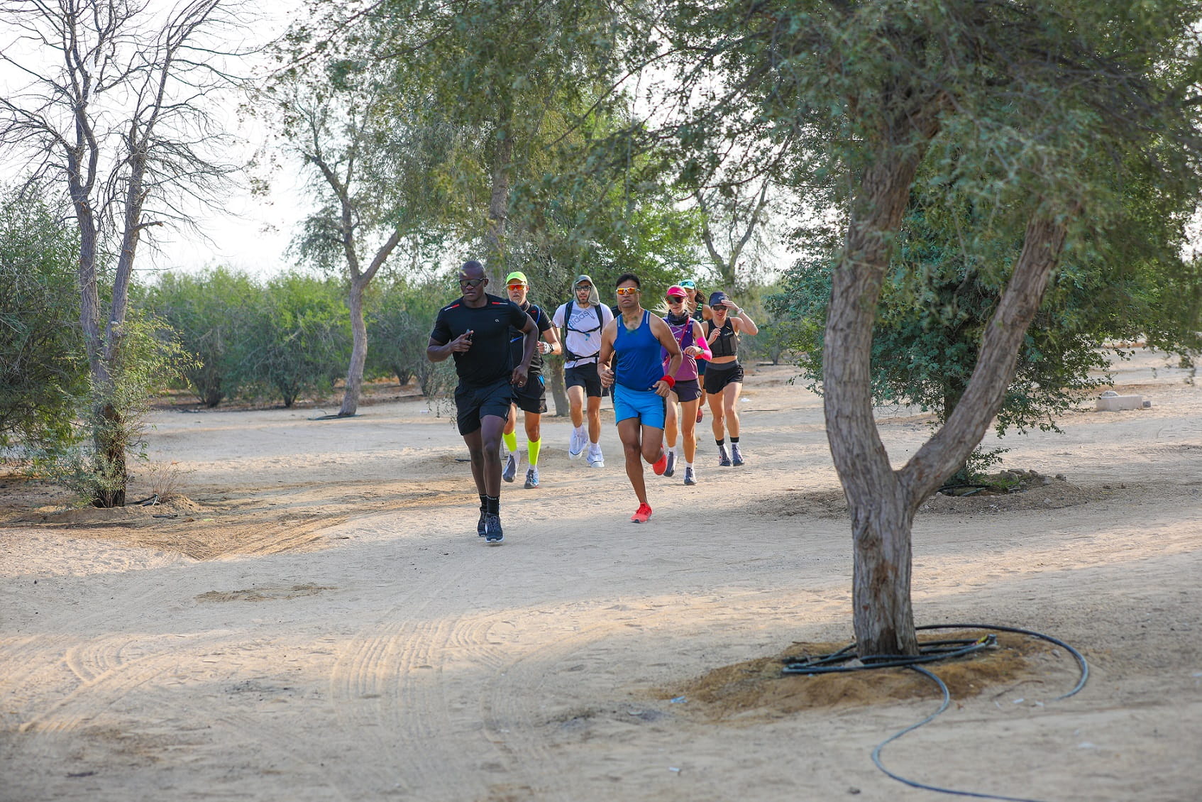 Preparations for Al Marmoom Ultramarathon pick up pace as organisers ...