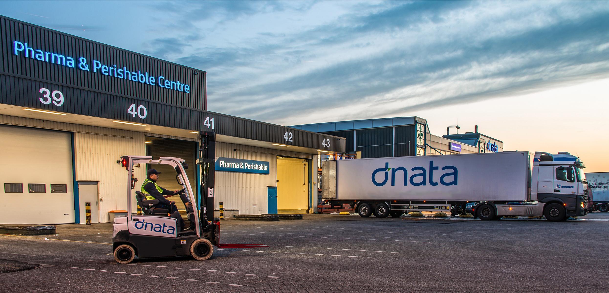 Blooming brilliance: dnata’s flower handling expertise takes flight in ...