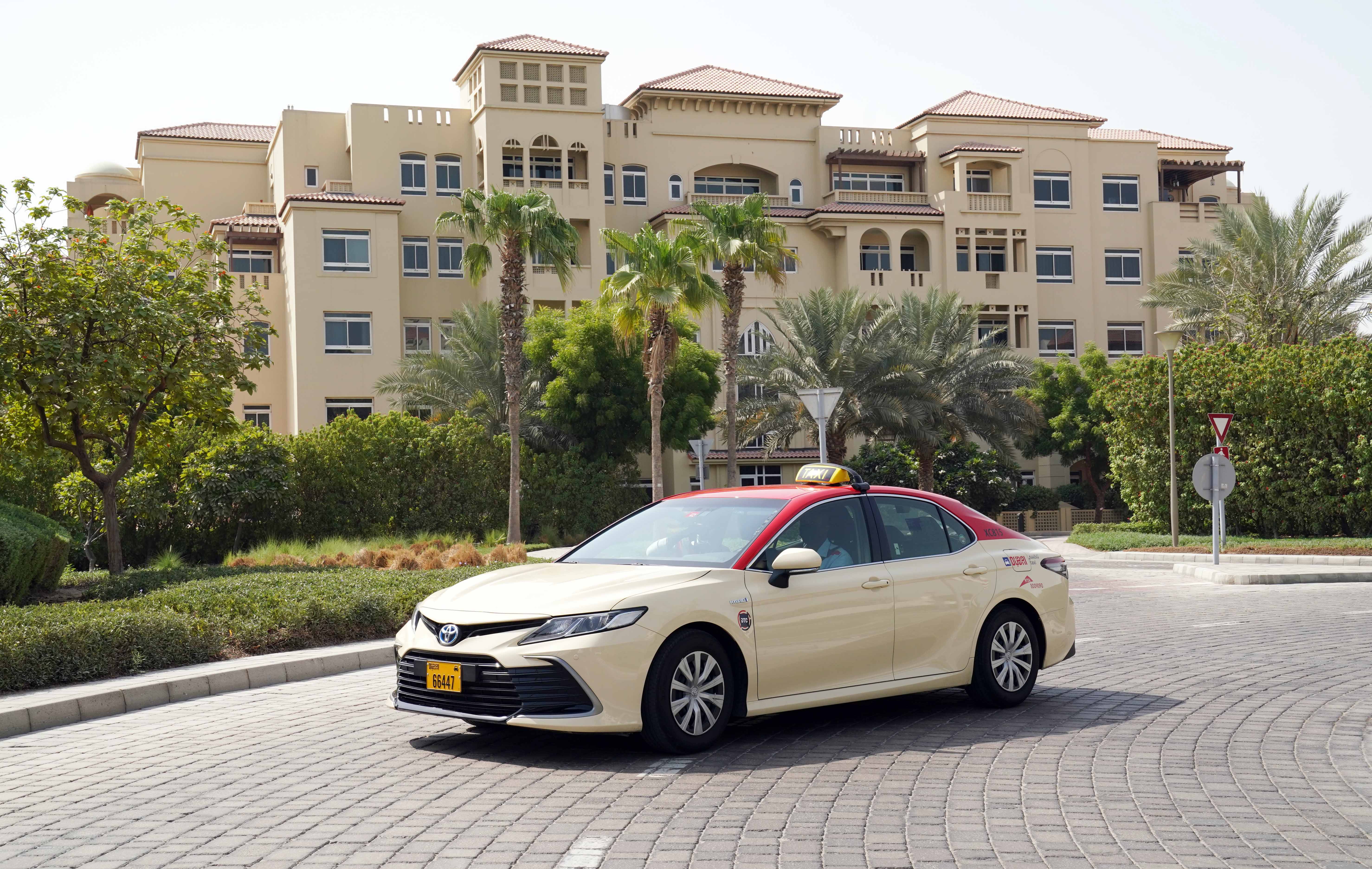 DTC Delivers Robust FY 2024 EBITDA Growth of 19% YoY to AED 584.4 million
