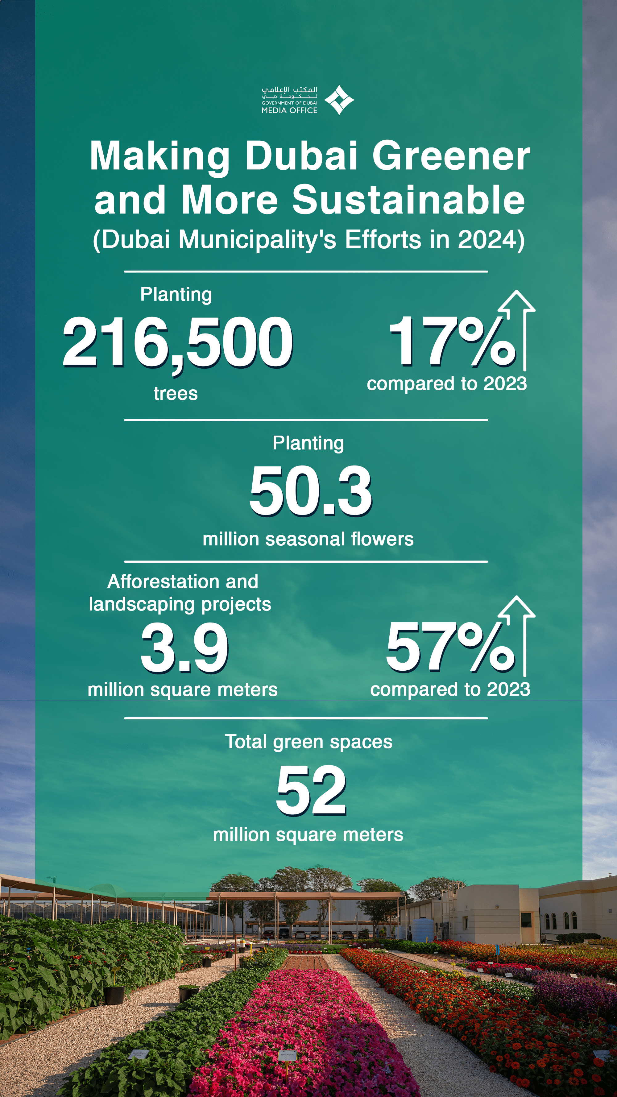 Dubai Municipality plants 216,500 new trees in 2024, boosting ...