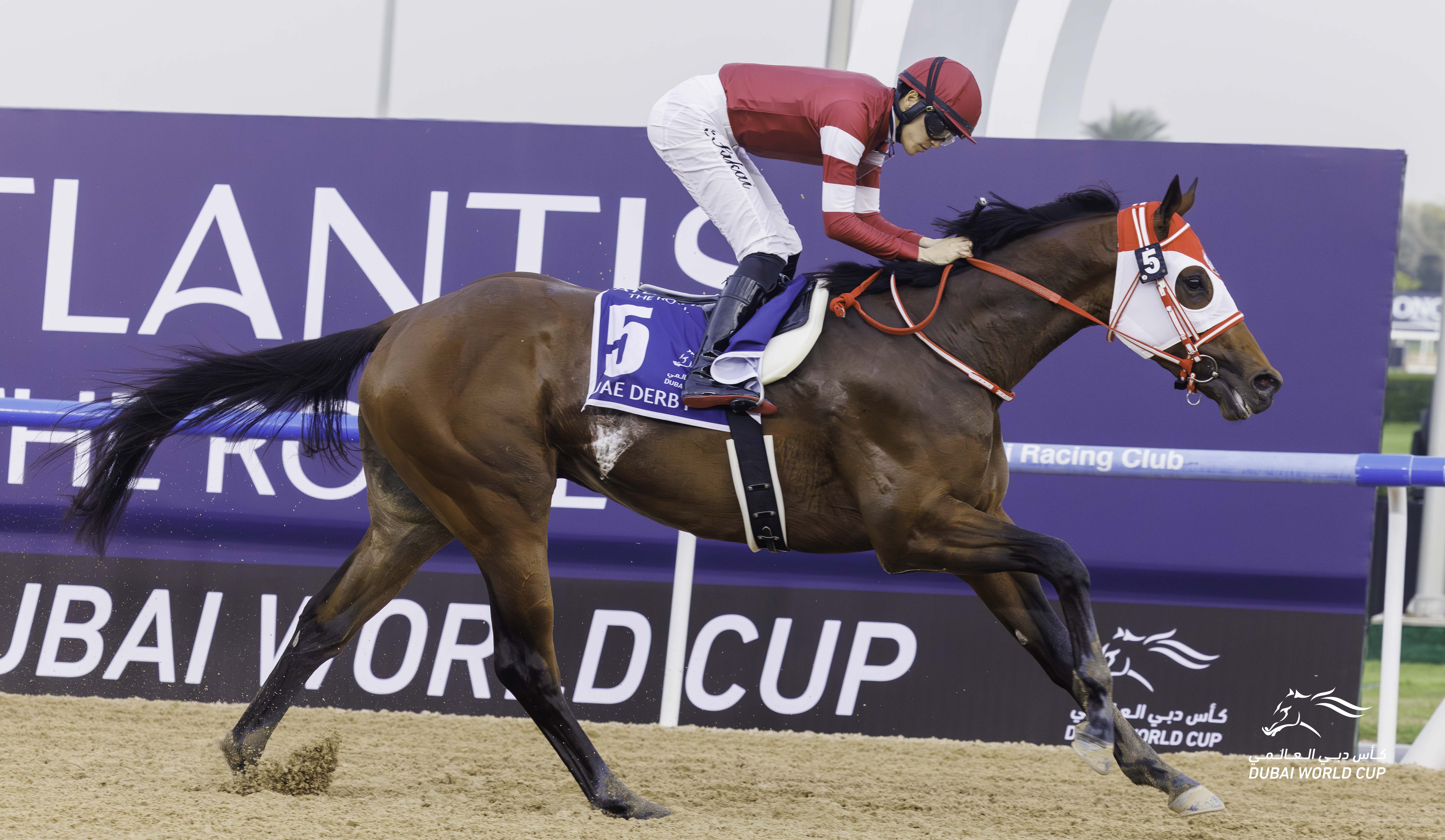 World’s biggest equine stars set to compete in the Dubai World Cup