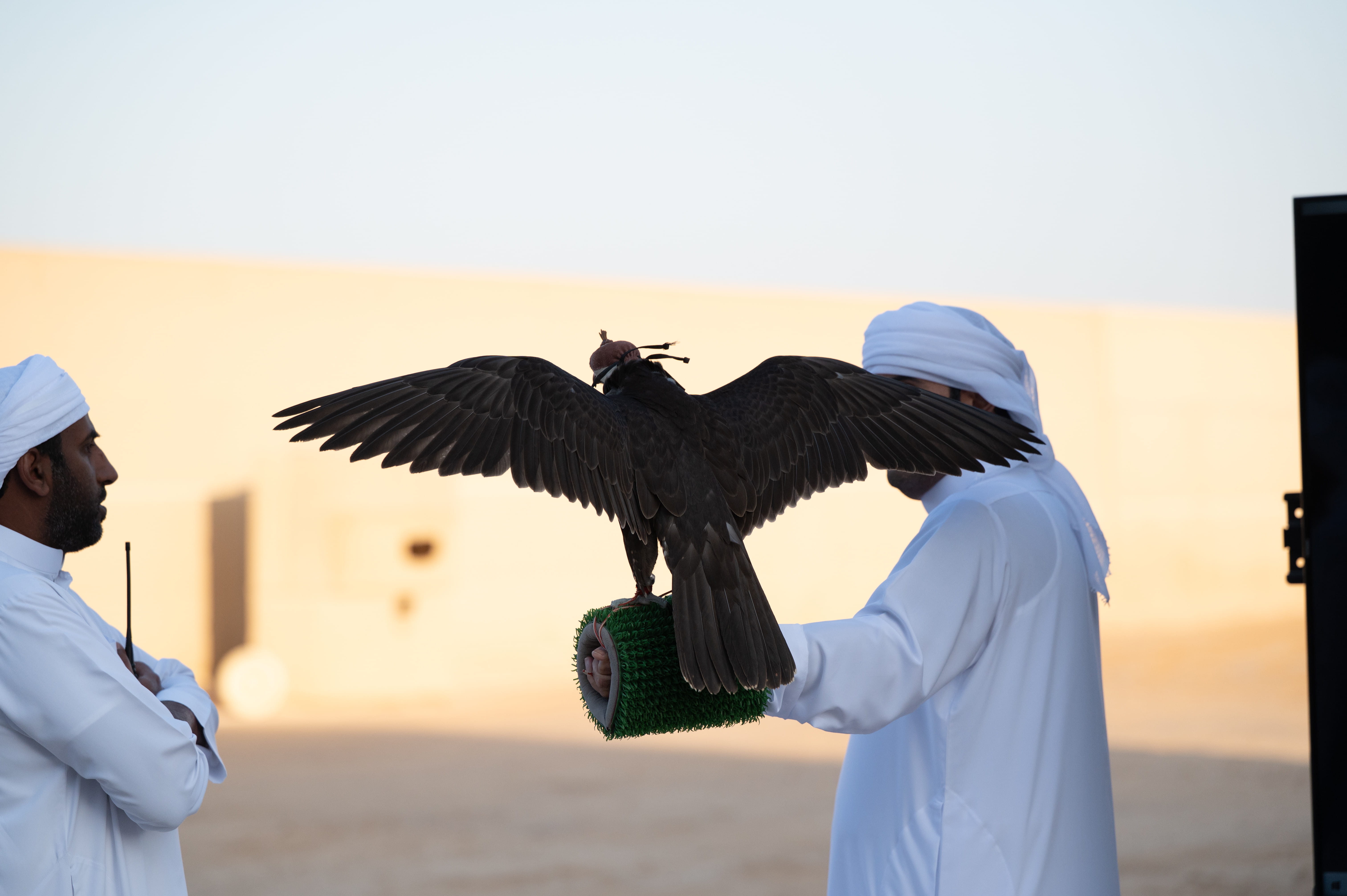 Emirates Falcon Racing Cup set to commence next Thursday in Kuwait